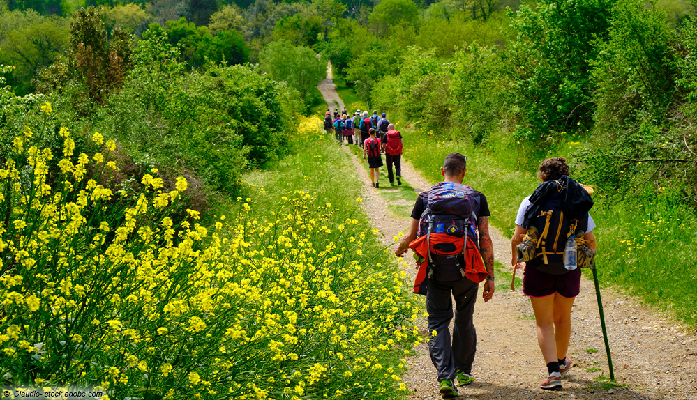 Pilgern – Schritt für Schritt auf dem Weg zu mir selbst - Auszeit.bio