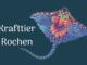 Krafttier Hai: Direktheit und Offenheit - Auszeit.bio - Krafttiere